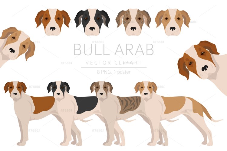 Are Bull Arabs Good Pets