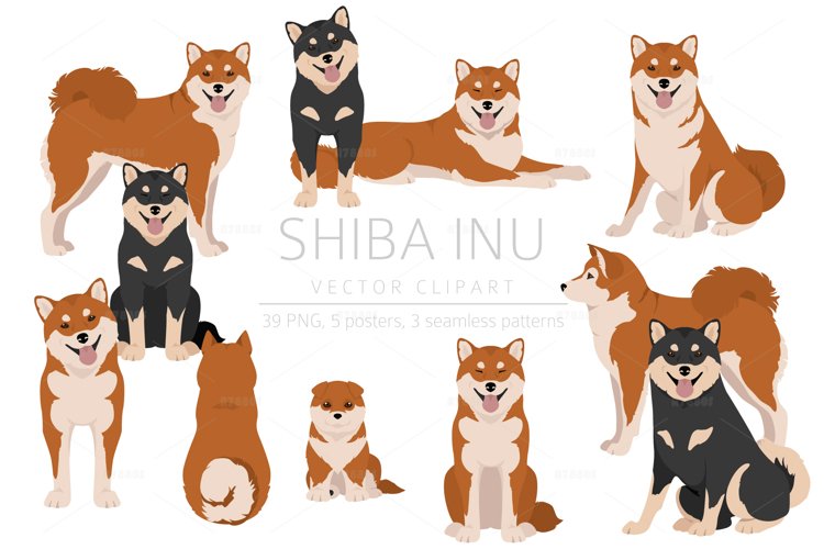 Shiba Inu clipart (1652078) | Illustrations | Design Bundles