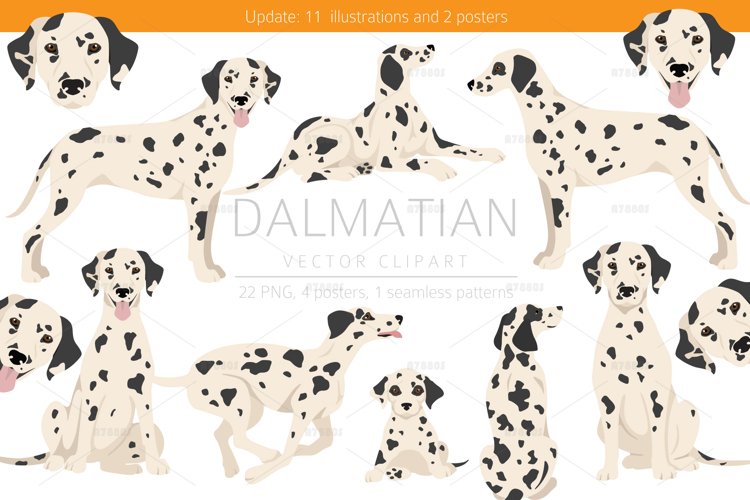 Dalmatian clipart