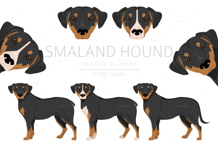 Smaland Hound clipart