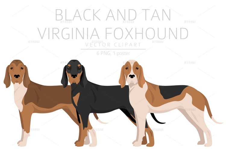 Black and Tan Virginia Foxhound (1973776) | Illustrations | Design Bundles
