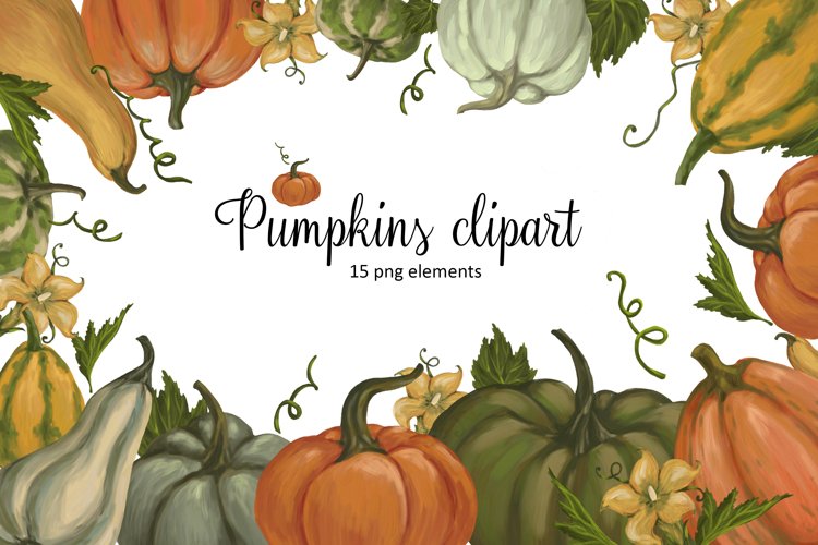 pumpkins clipart, big set of autumn harvest with vegetables