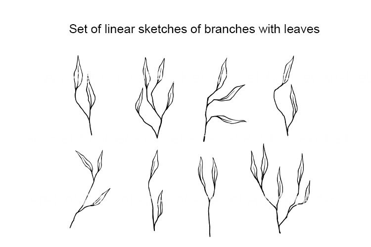 Set of linear sketches of branches with leaves.