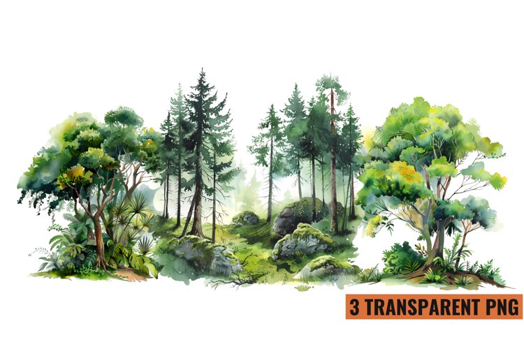 Watercolor Forest Tree Clipart , PNG