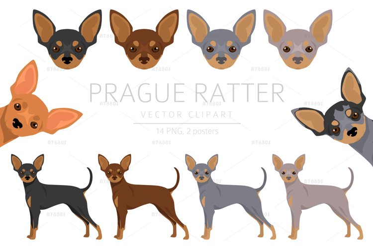 Prague Ratter clipart (2223691) | Illustrations | Design Bundles