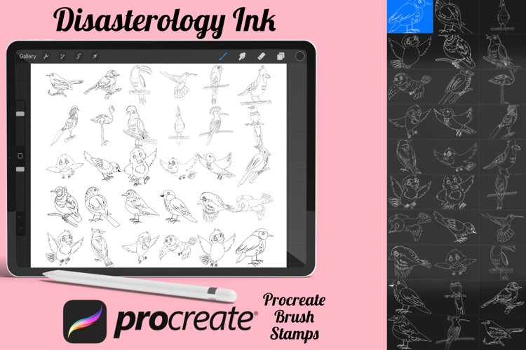 Birds Outlines Set 1 Procreate Brush Stamps, 30 Bird