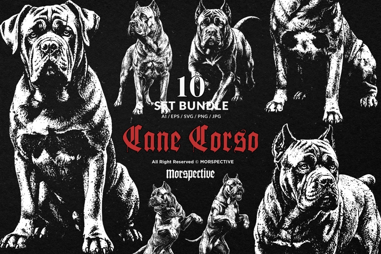 10 Bundle Dark Art Cane Corso Dog Beast Pitbull Doggy Doggo