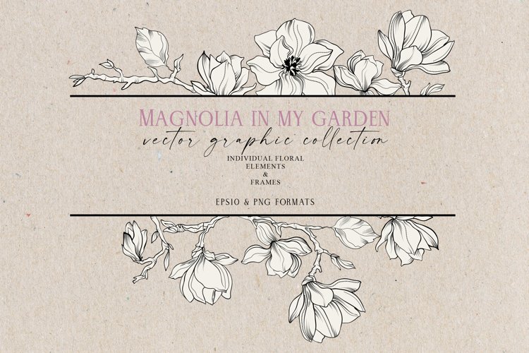 Magnolia - vector graphic collection (1855473) | Illustrations | Design ...