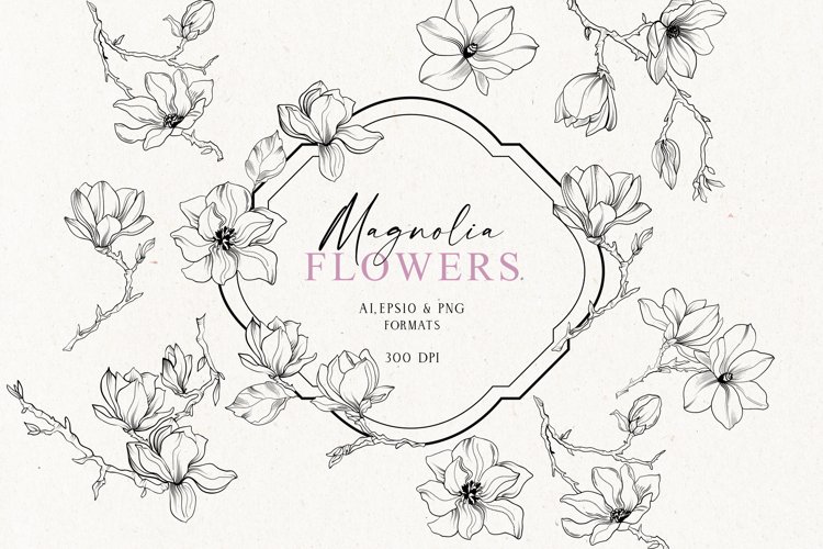 Magnolia Hand Drawn Line Art Frames