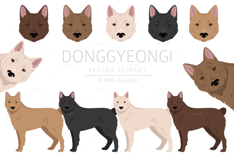 Donggyeongi dog clipart