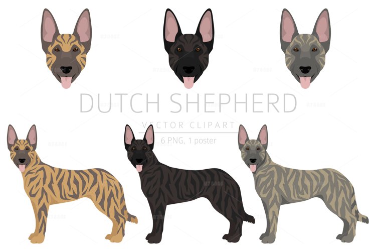 Dutch shepherd clipart (1571847) | Illustrations | Design Bundles