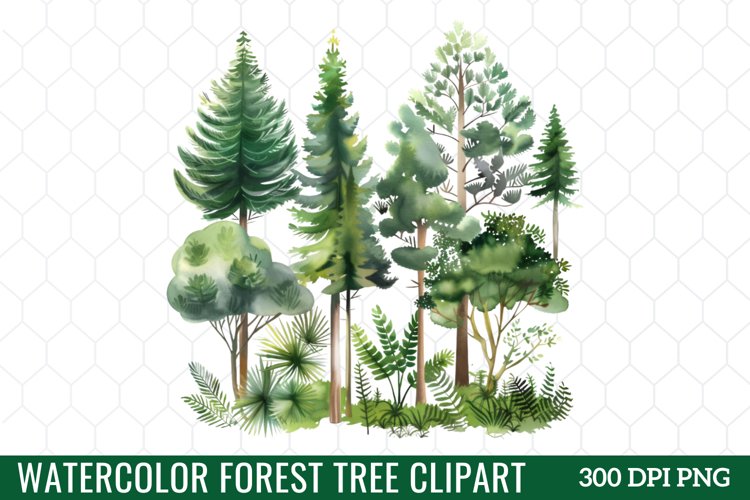 Watercolor Forest Tree Clipart (3460730)