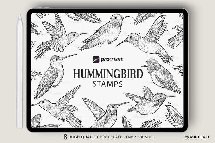 8 Hummingbirds Procreate Brush Stamps. Small Birds Outline