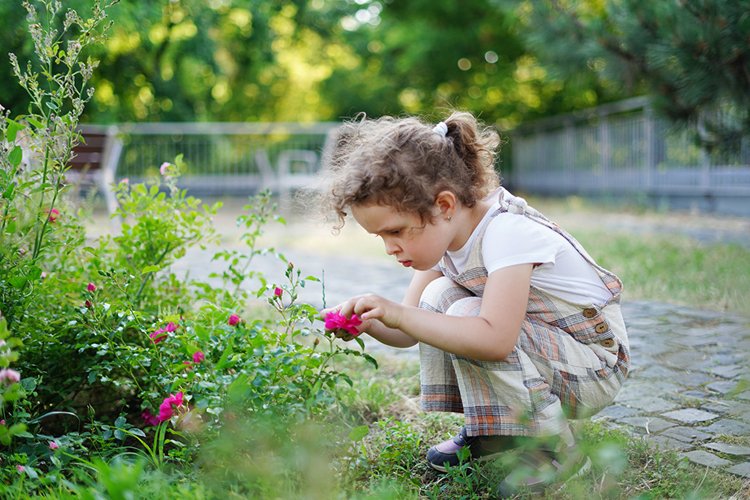 little cute girl caring for flowers in the garden (2617826)