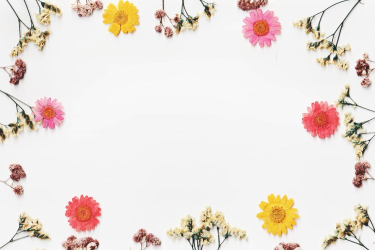 Dried flower photo backdrop with textured paper (2449388)