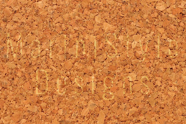 Cork background, Cork texture, Cork backdrop Stock Photo 366