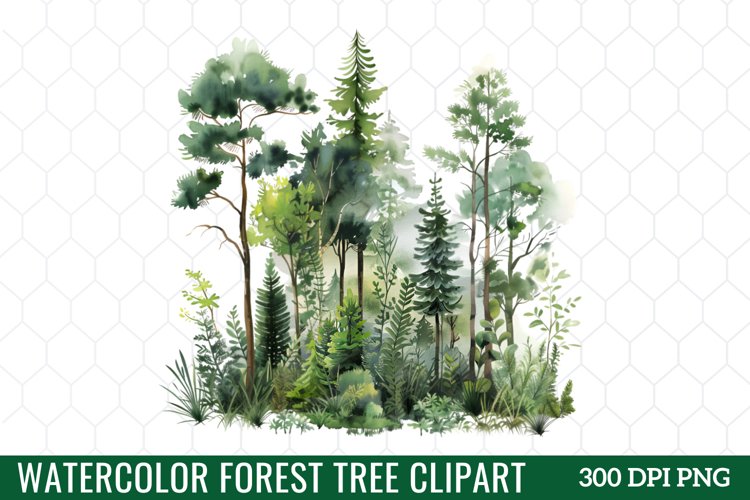 Watercolor Forest Tree Clipart (3460735)