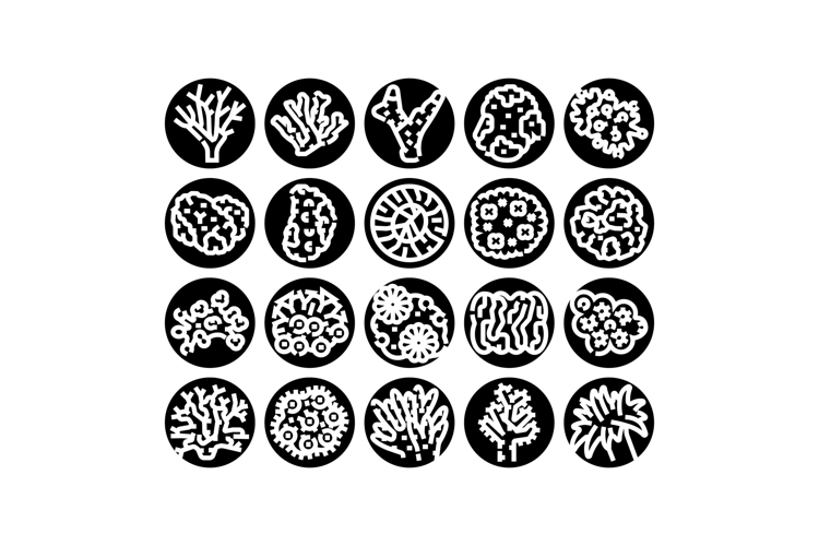Coral reef underwater marine organism glyph icons