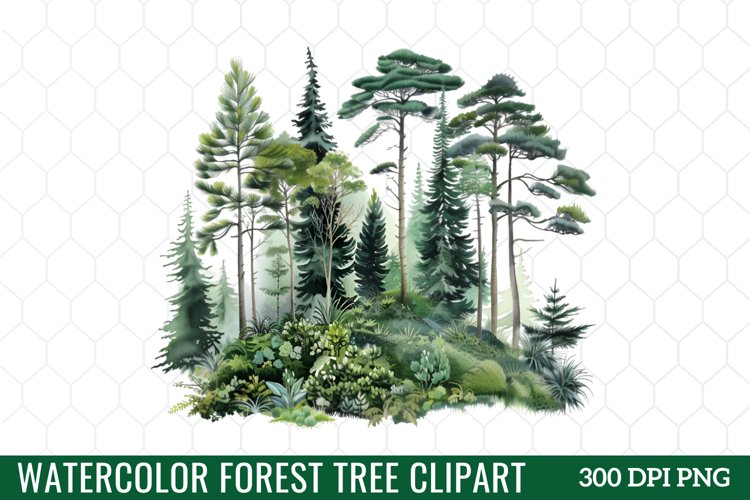 Watercolor Forest Tree Clipart (3460742)