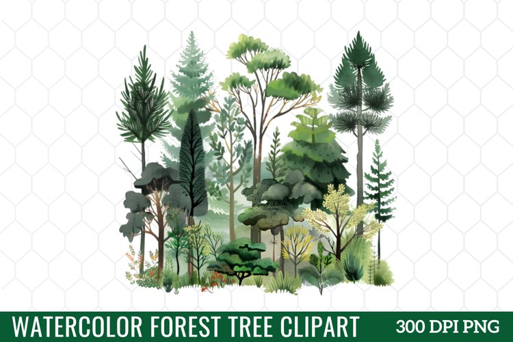 Watercolor Forest Tree Clipart (3460744)