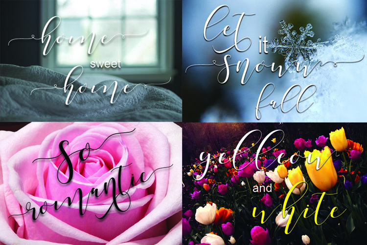 Shania Sweet Calligraphy Modern - Free Font of The Week | Font Bundles