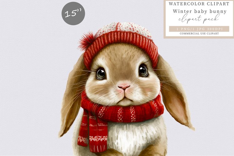 Christmas Bunny Drawing