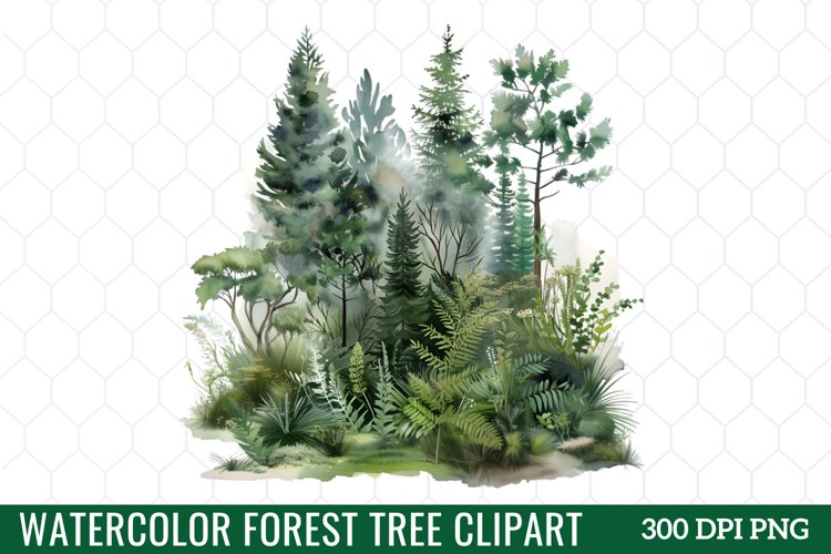 Watercolor Forest Tree Clipart (3460745)