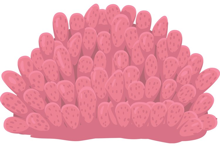 Cartoon sea sponge SVG PNG JPG EPS (3104832)