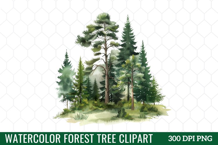 Watercolor Forest Tree Clipart (3460747)