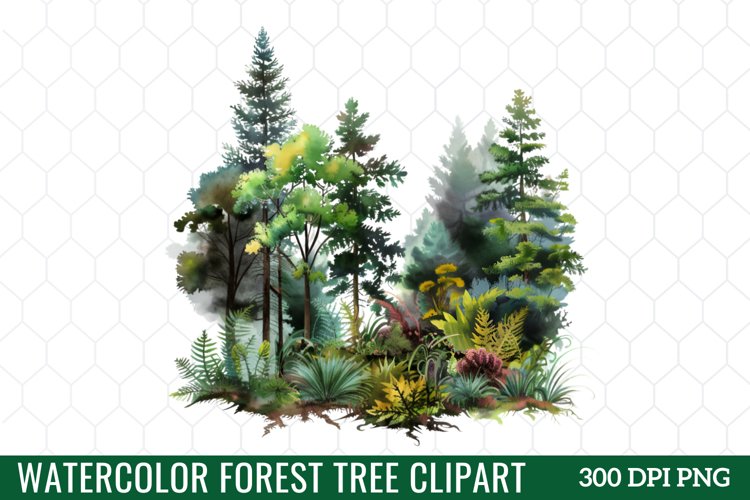Watercolor Forest Tree Clipart (3460748)
