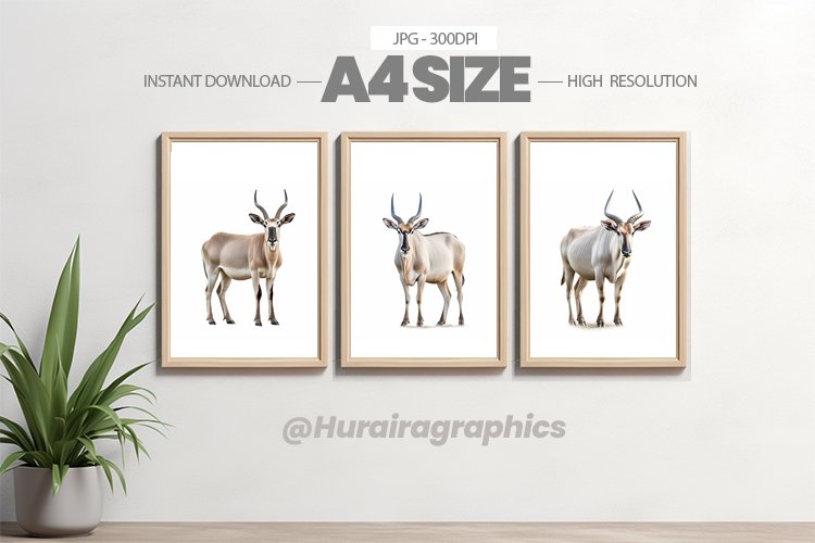 Animal Wall Art - 03 Variations (3006774)