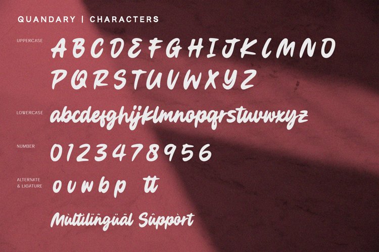 Free Font Of The Week by Font Bundles