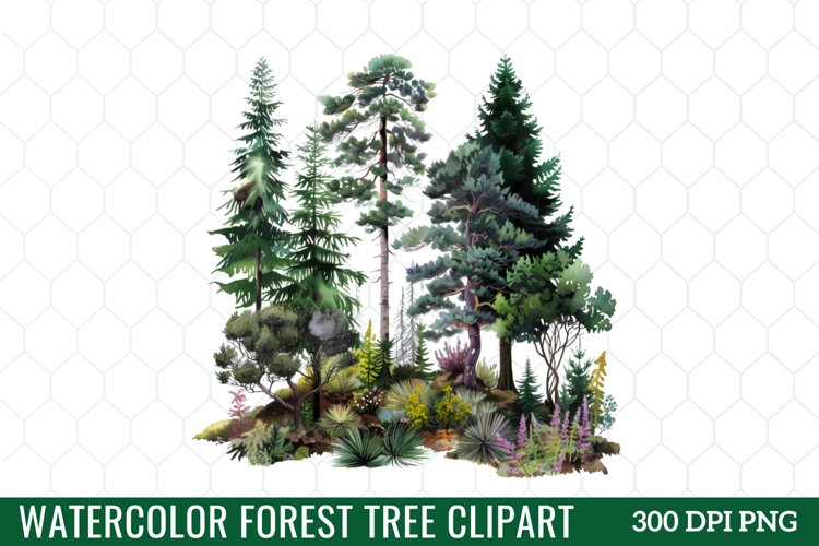 Watercolor Forest Tree Clipart (3460752)