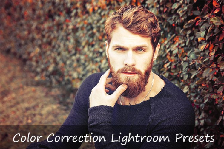 174 Color Correction Lightroom Presets