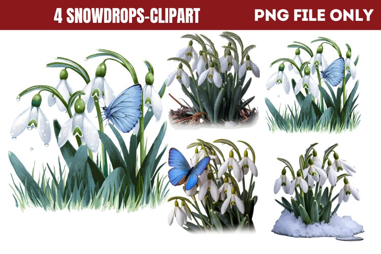 Snowdrops Clipart PNG PNG (4850028)