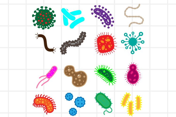 Vmrus or bocteria icons vector set. Microorganism (840041)