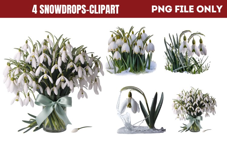 Snowdrops Clipart PNG (4850031)