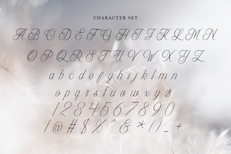 Free Script Fonts | Download Free Script Fonts Now