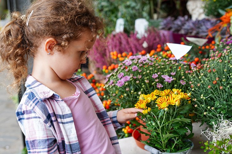 Cheerful cute child girl in the flower shop (2822642)