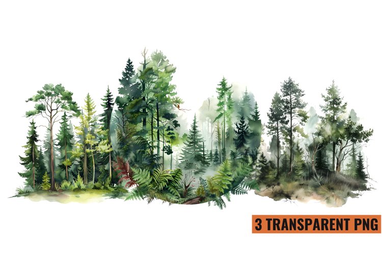 Watercolor Forest Tree Clipart , PNG