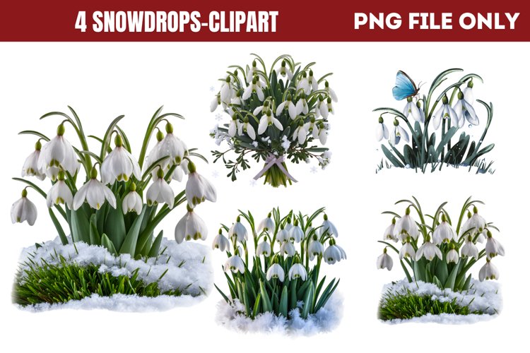 Snowdrops Clipart PNG PNG (4850034)
