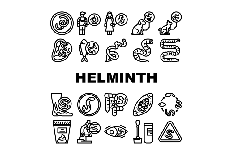 helminth worm parasite nematode icons set vector (6571920)