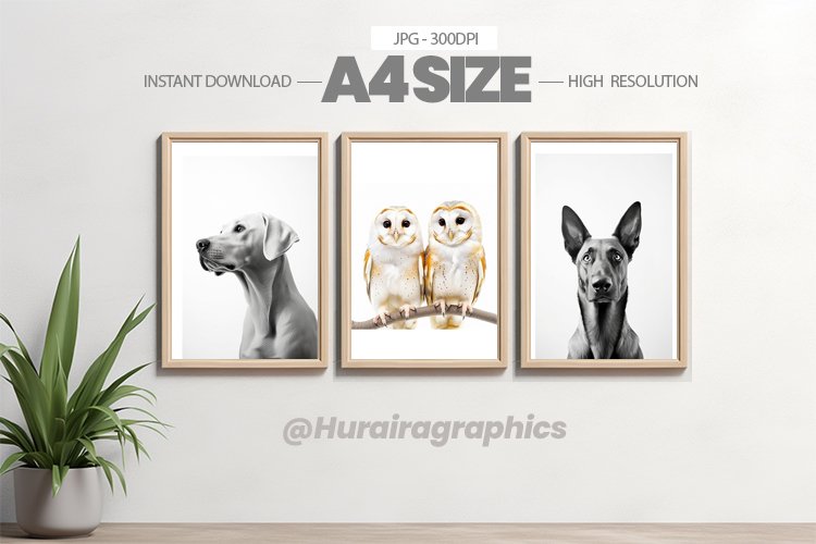 Animal Wall Art - 03 Variations (3010324)
