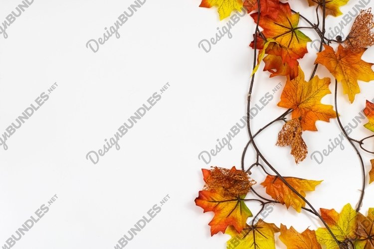 Fall Leaves Flat Lay