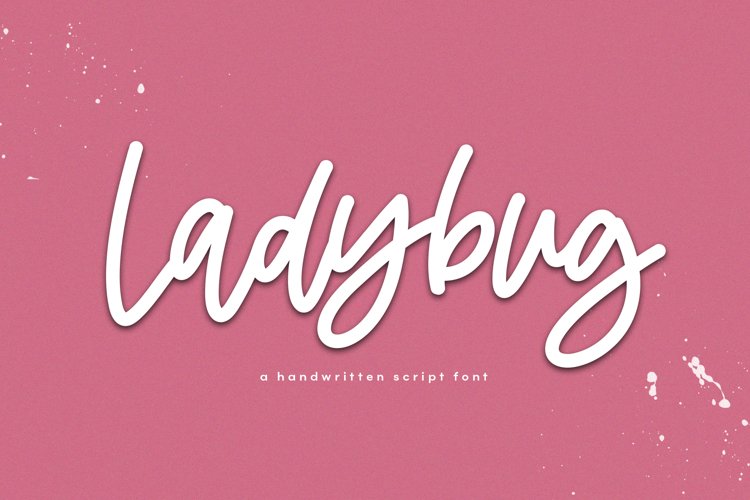Ladybug - A Handwritten Script Font (542119) | Handwritten | Font Bundles