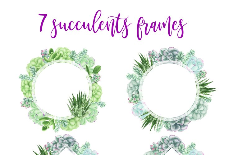 Free Illustrations download - Succulents Bundle | Free Design Resources