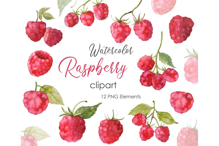 Watercolor Clipart. Raspberry clipart. Hand painted sketch (1236554 ...