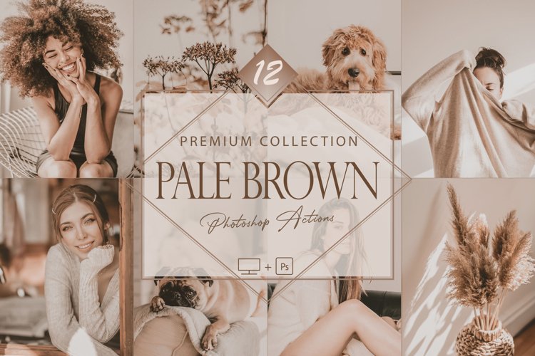 12 Pale Brown Photoshop Actions, Soft ACR Preset, Brownie Ps