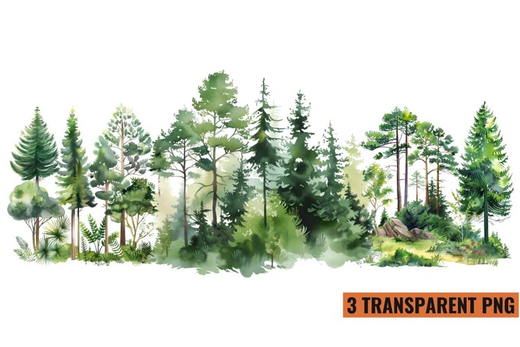 Watercolor Forest Tree Clipart , PNG