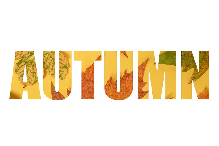 Word Autumn from a colorful leaves yellow pattern